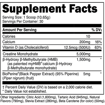 The Beginner's Guide to German Volume Training (10x10 method ...